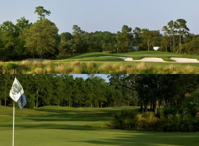 Rivertowne and Snee Farm: Go Green - Mount Pleasant Magazine