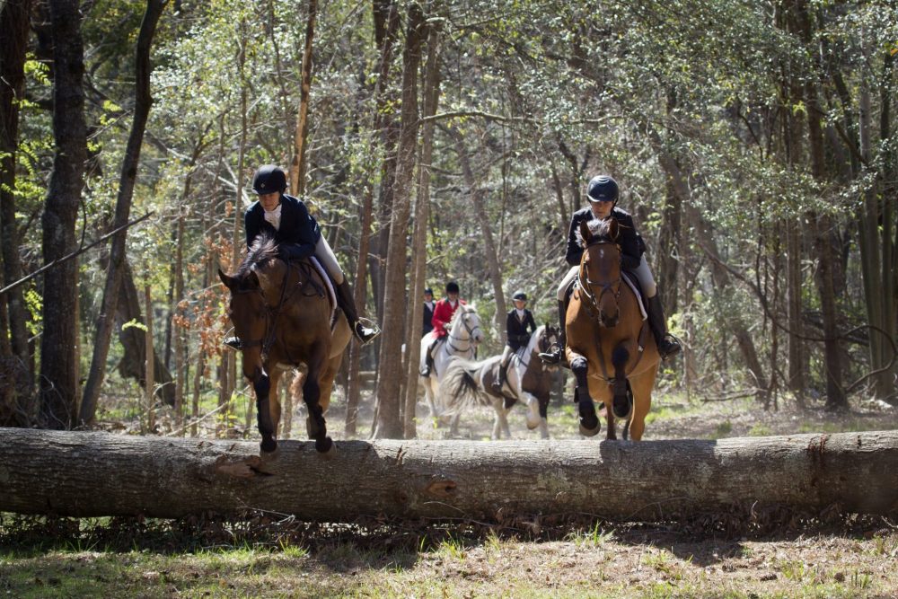 Fox Hunting: Steeped in Tradition and Ruggedly Refined - Mount Pleasant ...
