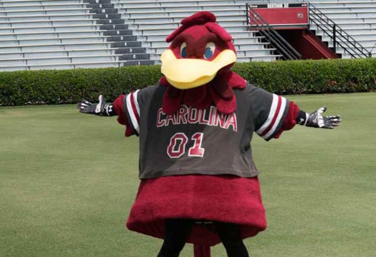 College Mascots: They Have School Spirit Covered — Head to Toe - Mount ...