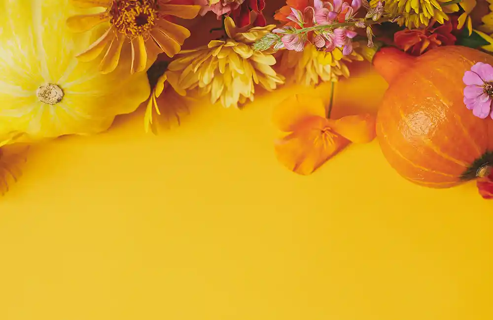 Fall Flavors: Recipes to Rejoice This Autumn - Mount Pleasant Magazine